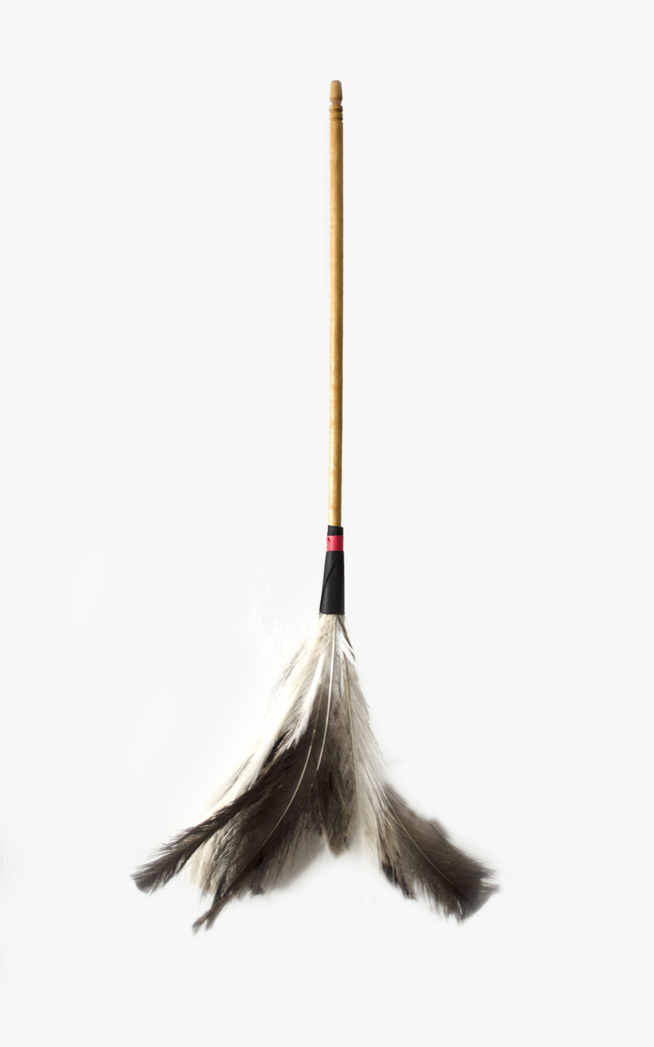 PLUMERO DE PLUMAS MEDIANO N:32
